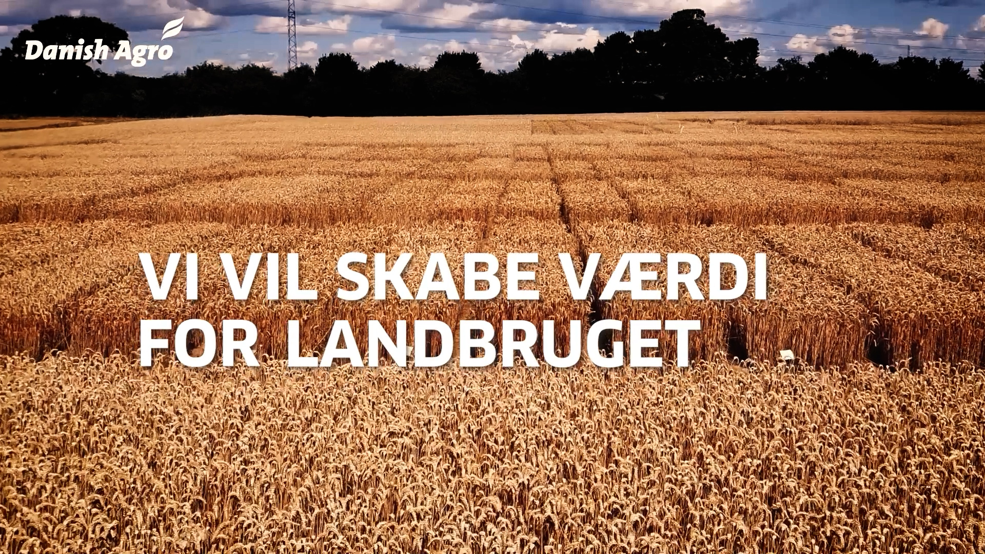 Karriere i Danish Agro