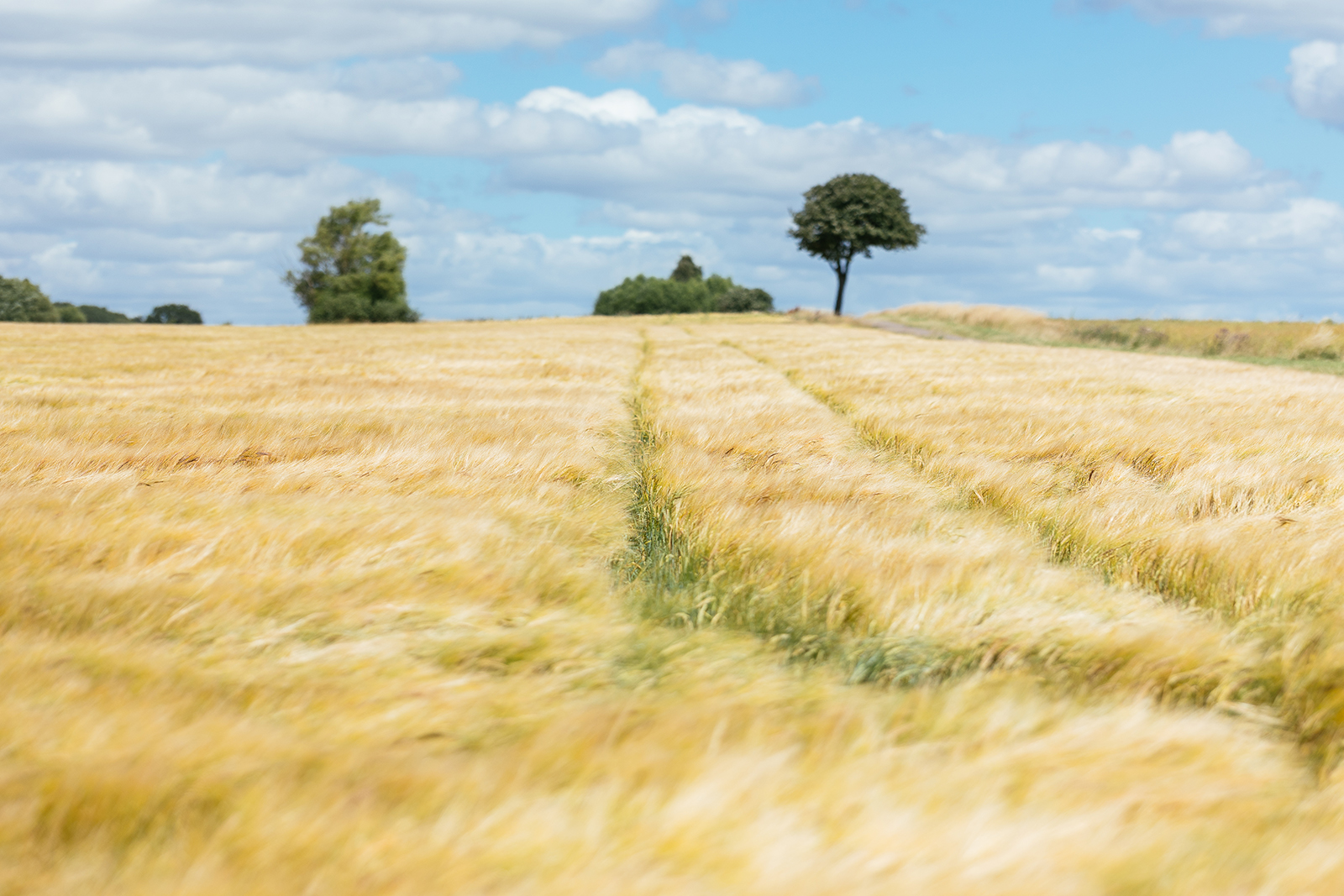 Danish Agro a.m.b.a.