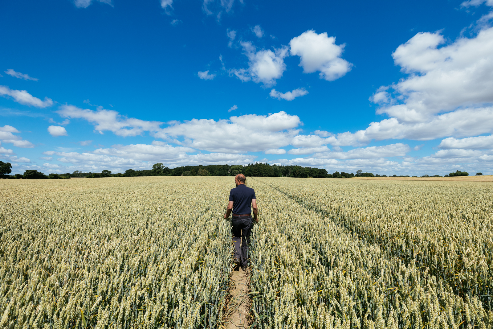 Danish Agro Koncernen